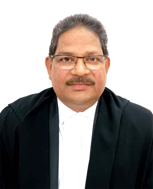 jinfos | High Court of Madhya Pradesh